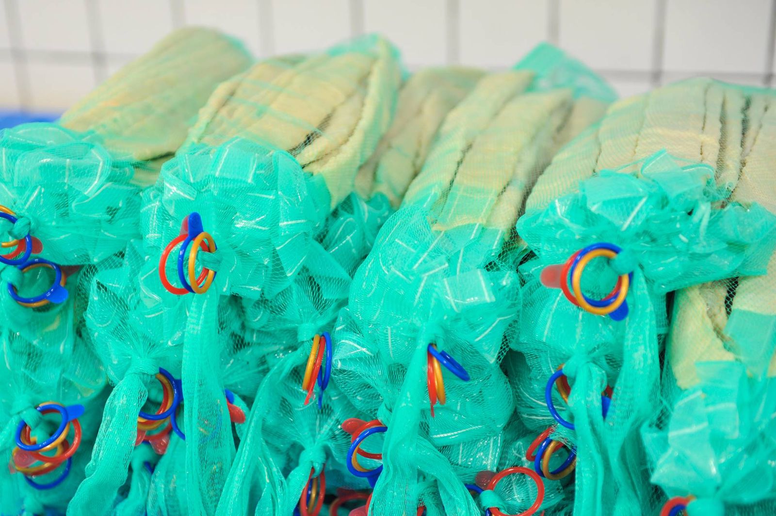 Cum se raportează veniturile din chirii realizate după 1 ianuarie 2025 ...